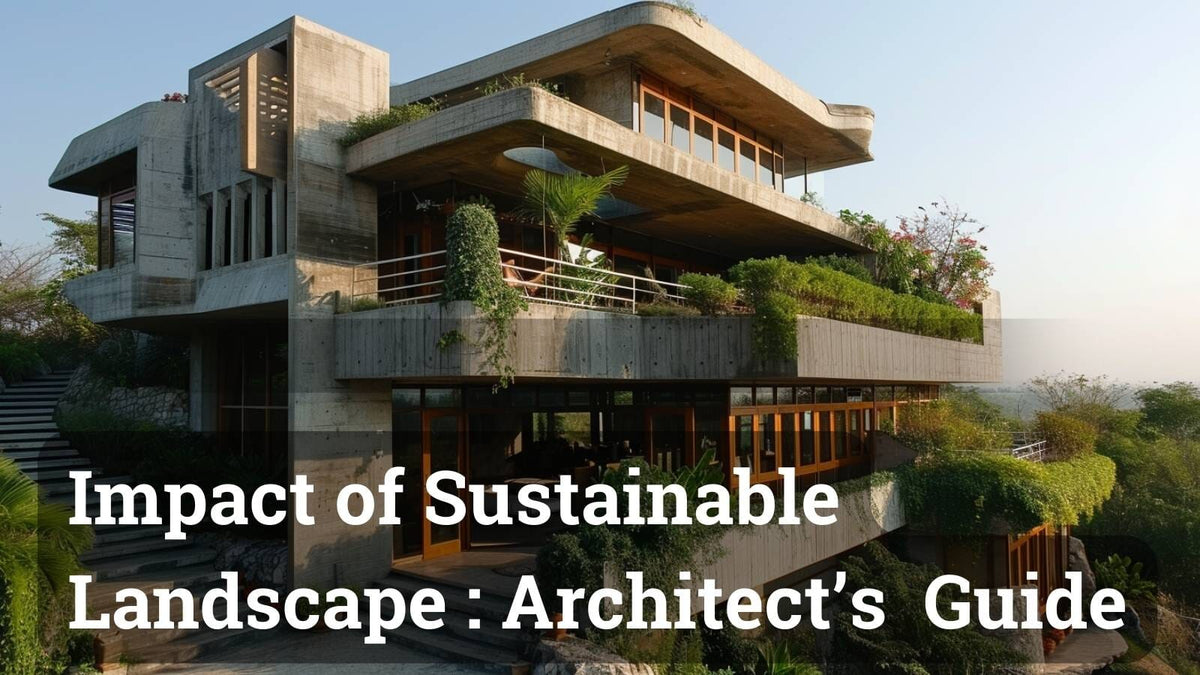 Sustainable Landscape Design - 2024 Guide – Ongrid Design